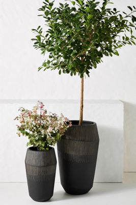 Planters | Plant Stands & Pots for Outdoors | Anthropologie