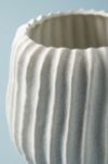 Abalone Pot | Anthropologie UK