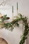 Fresh Israeli Ruscus + Olive Leaf Garland | AnthroLiving