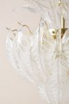 Sandra Chandelier | Anthropologie
