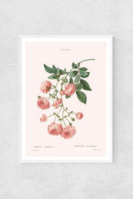 Rosier Wall Art | Anthropologie UK