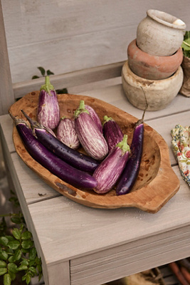 Teak Root Serving Platter | Terrain