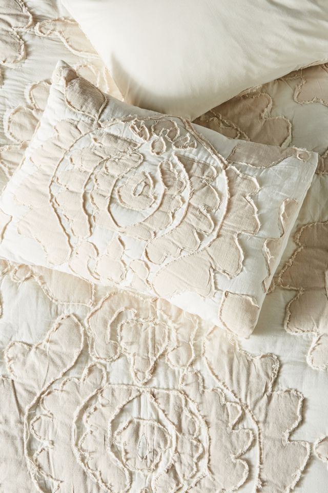 Embroidered Pallida Shams, Set of 2 | Anthropologie