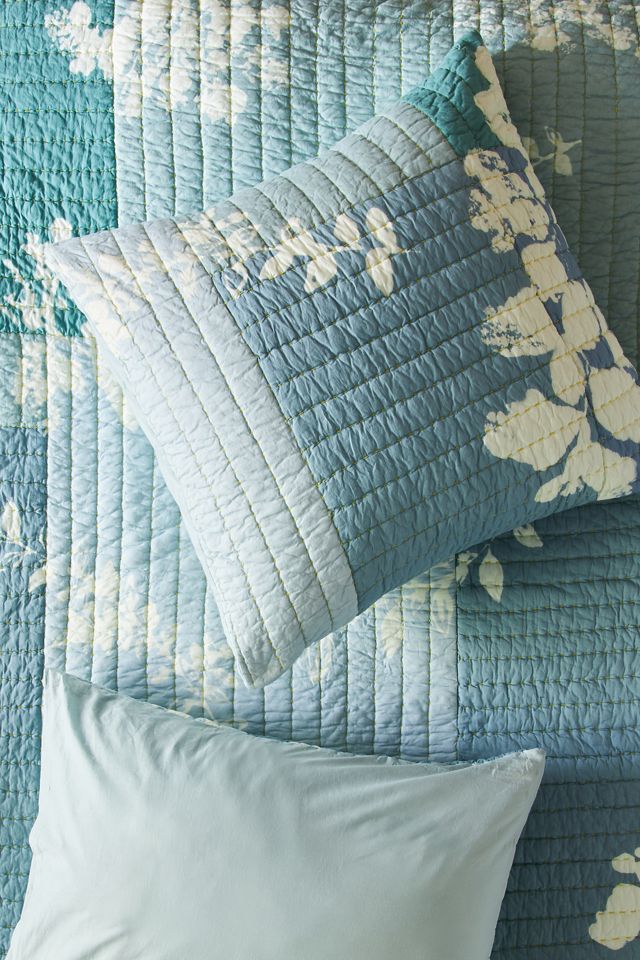 Renley Euro Sham | Anthropologie