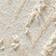 Lucretia Shams, Set of 2 | AnthroLiving