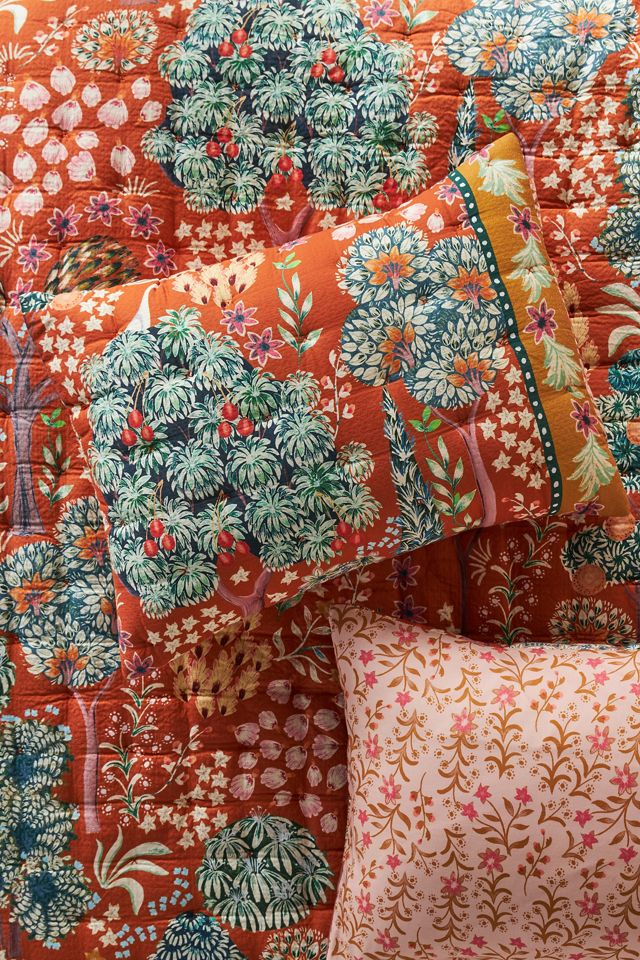 Averill Organic Cotton Shams, Set of 2 | Anthropologie