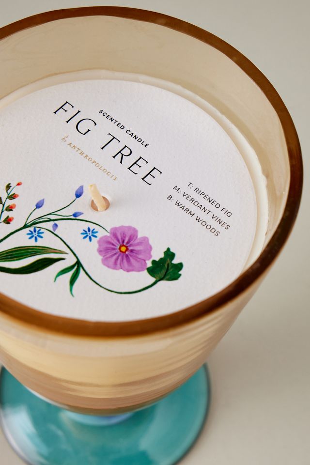 Hazel Fresh Fig Tree Glass Candle | Anthropologie UK