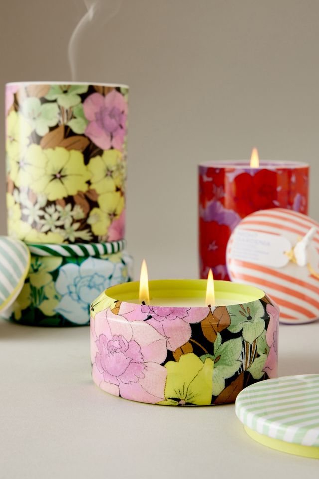 Lyla Fresh Fern Moss Ceramic Jar Candle | Anthropologie UK