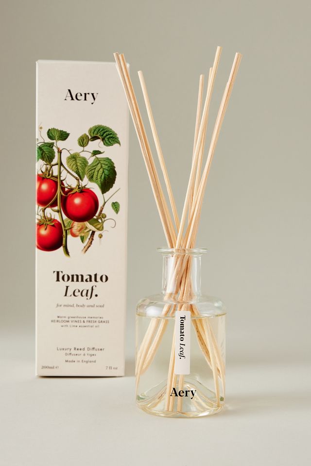 Aery Tomato Leaf Reed Diffuser | Anthropologie UK