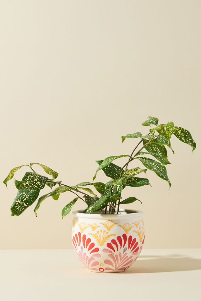 Prima Garden Pot | Anthropologie UK