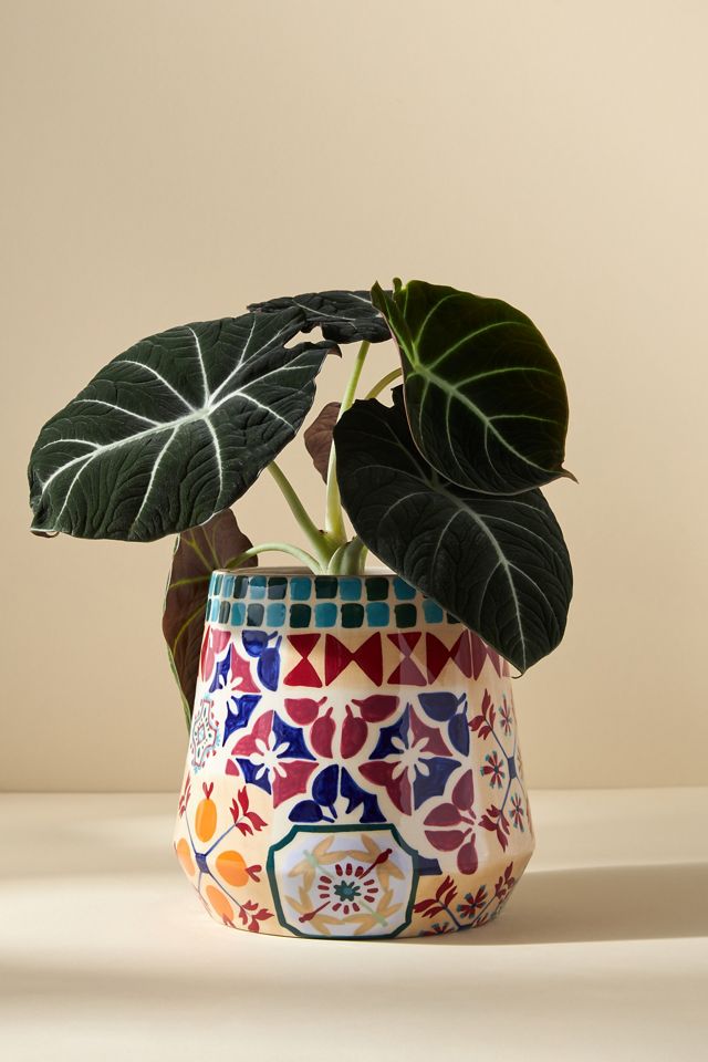 Socorro Tile Planter | AnthroLiving