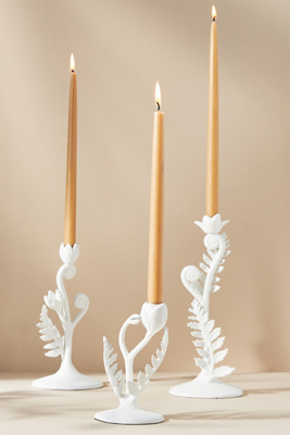 Fiddlehead Fern Taper Candle Holder | Anthropologie