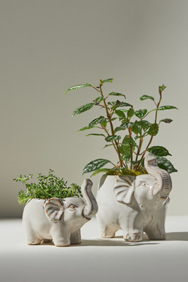 Trumpeting Elephant Pot | AnthroLiving