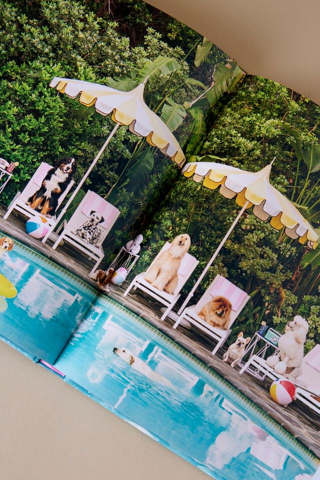 Gray Malin: Chiens: Livre de Photographies | Anthropologie FR