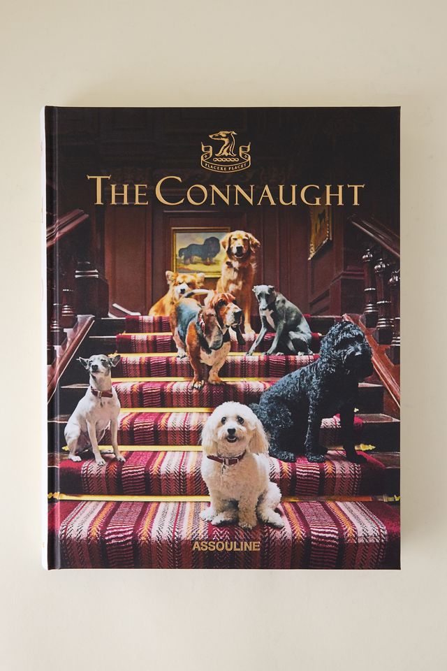 Das Connaught Buch | Anthropologie DE