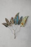 Iron Fern Leaf Bundle | AnthroLiving