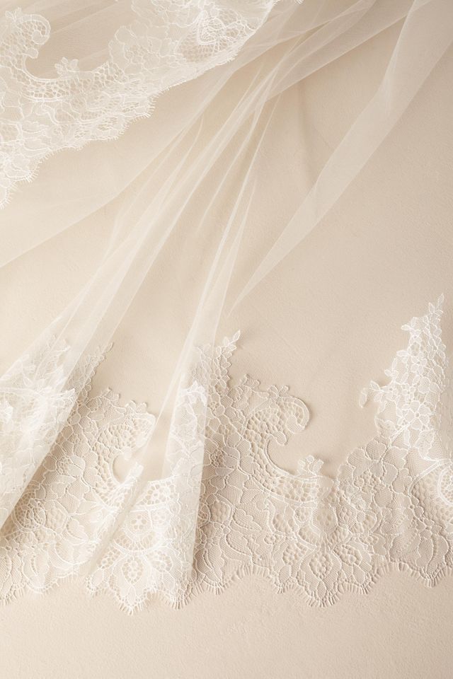 PARIS by Debra Moreland Breathless Chantilly Cathedral Veil | Anthropologie