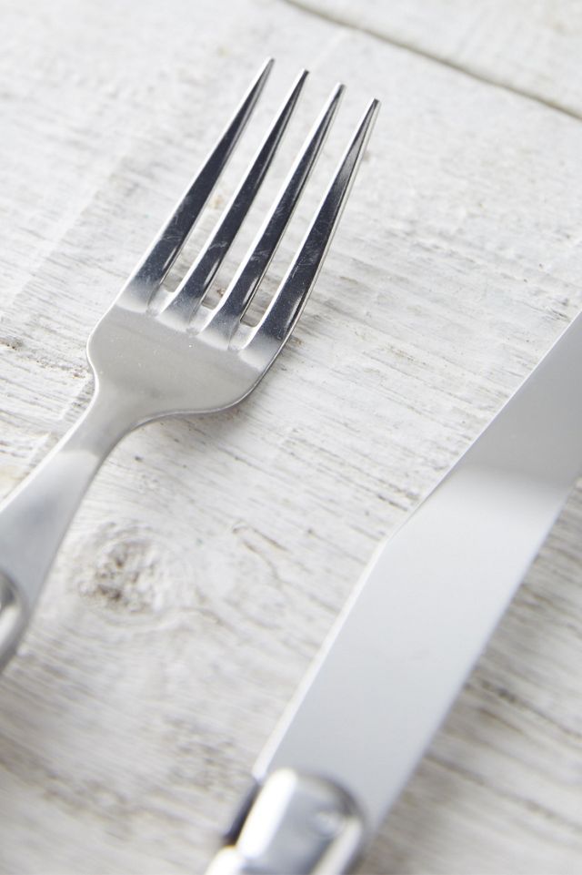 Laguiole Ivory Handle Flatware Set | AnthroHome