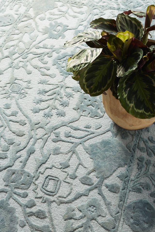 Cyra Rug | AnthroHome