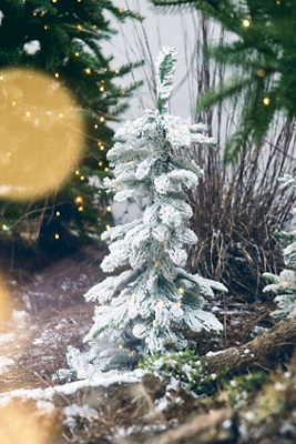 The Faux Christmas Tree Collection | Terrain