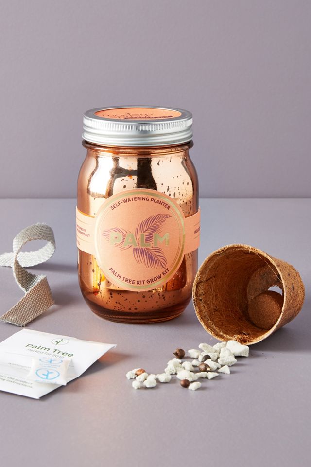 Modern Sprout Grow Kit | Anthropologie