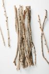 Birch Branch Bundle | Anthropologie
