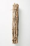Birch Branch Bundle | Anthropologie