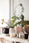 Grecian Bust Pot | Anthropologie