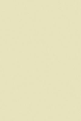 Green Paint | Anthropologie