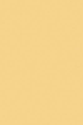 Yellow Ground No.218 - 100ml Sample Pot | AnthroLiving
