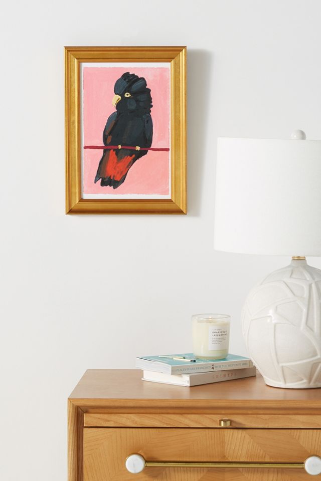 Red Tailed Black Cockatoo Wall Art Anthroliving
