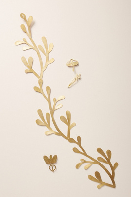 Trailing Vine Growth Chart | Anthropologie