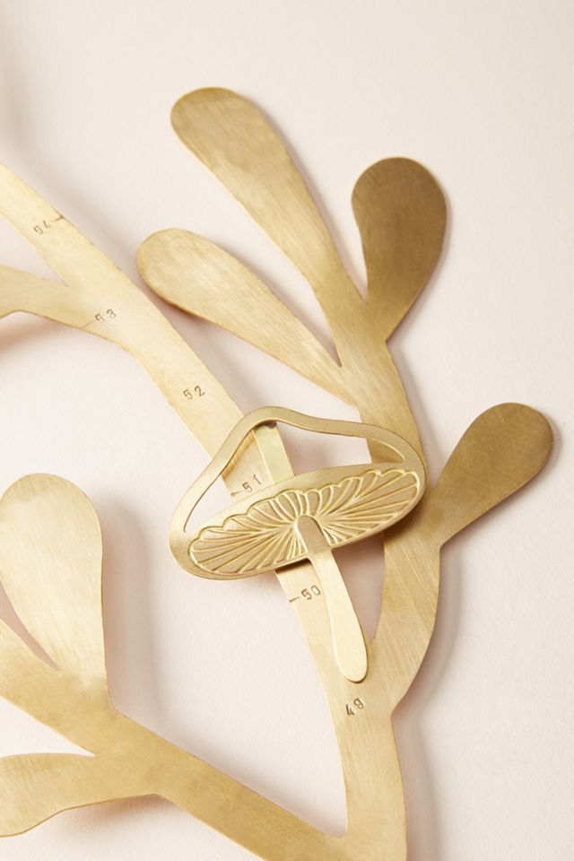 Trailing Vine Growth Chart | Anthropologie