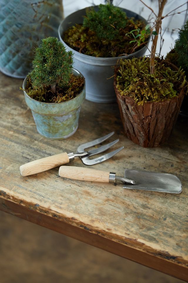 Sneeboer Kids Hand Fork | Anthropologie