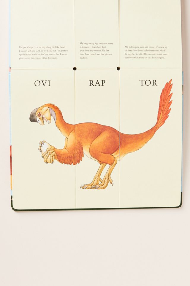 Flip-o-saurus | AnthroLiving