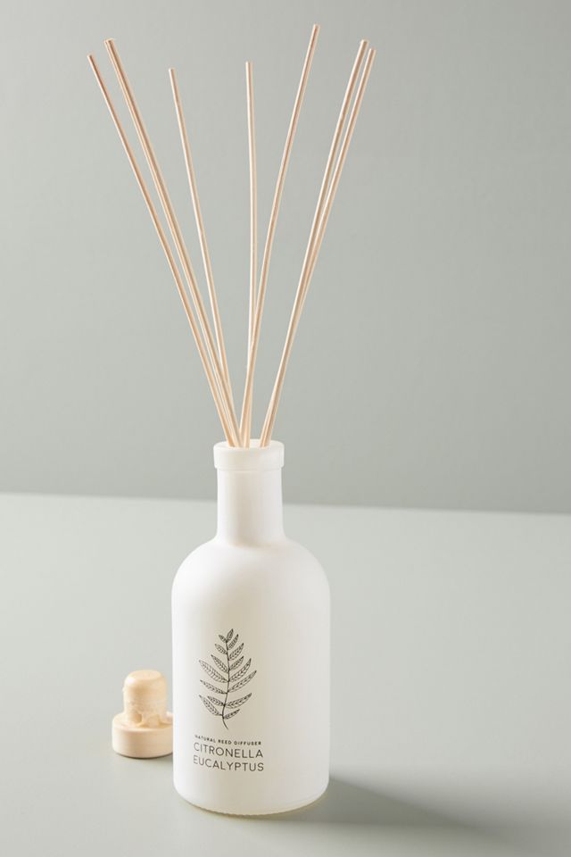 Cerabella Citronella Reed Diffuser | AnthroLiving
