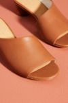 Soludos Milan Mules | Anthropologie