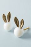 Set of 2 All Ears Knobs | Anthropologie UK