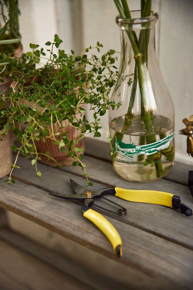 Niwaki Lightweight Hybrid Snips | AnthroHome