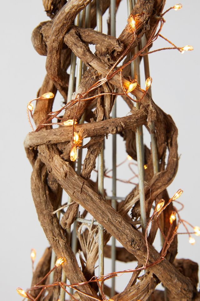 Stargazer Nature Effects Illuminated Vine Cone | AnthroLiving