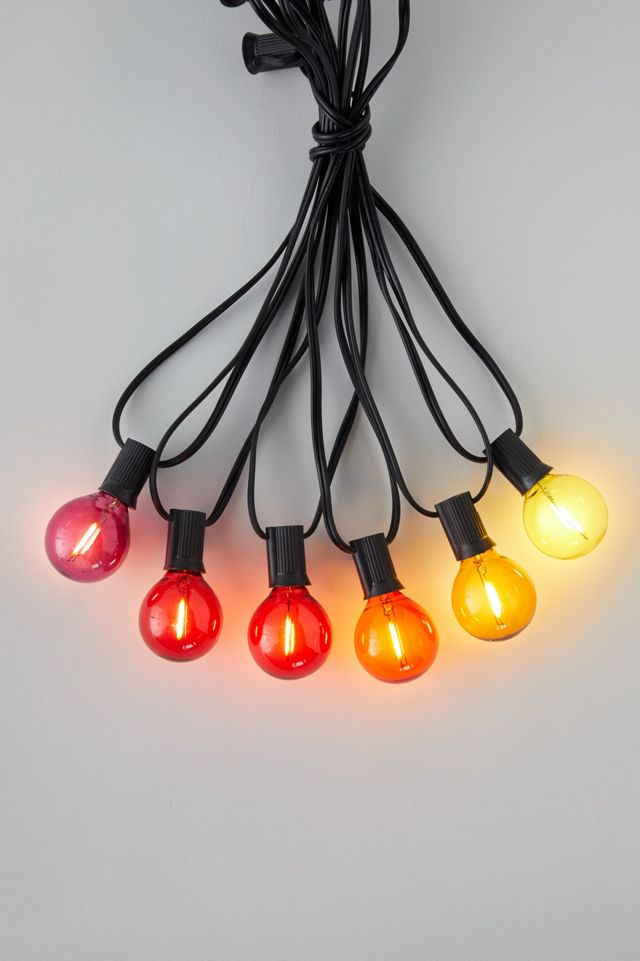 Stargazer Garden Lights Set of 21 Bulbs, Pumpkin Spice | Anthropologie