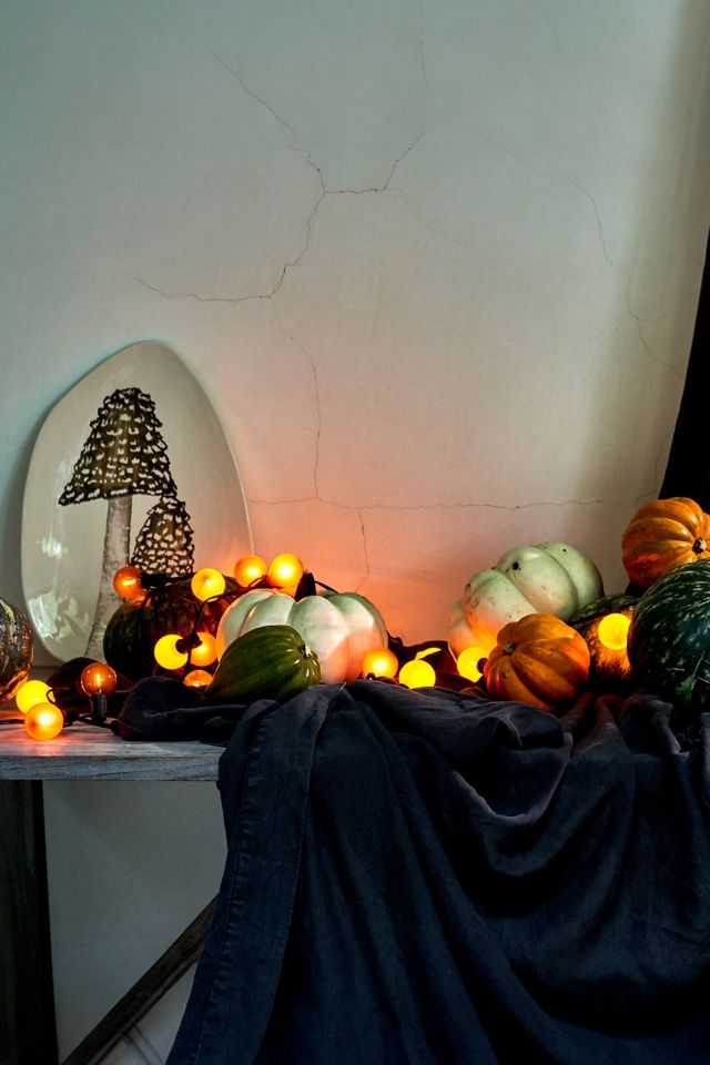 Stargazer Garden Lights Set of 21 Bulbs, Pumpkin Spice | Terrain