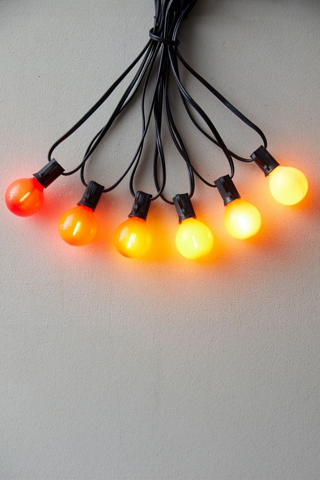 Stargazer Garden Lights Set of 21 Bulbs, Pumpkin Spice | Terrain