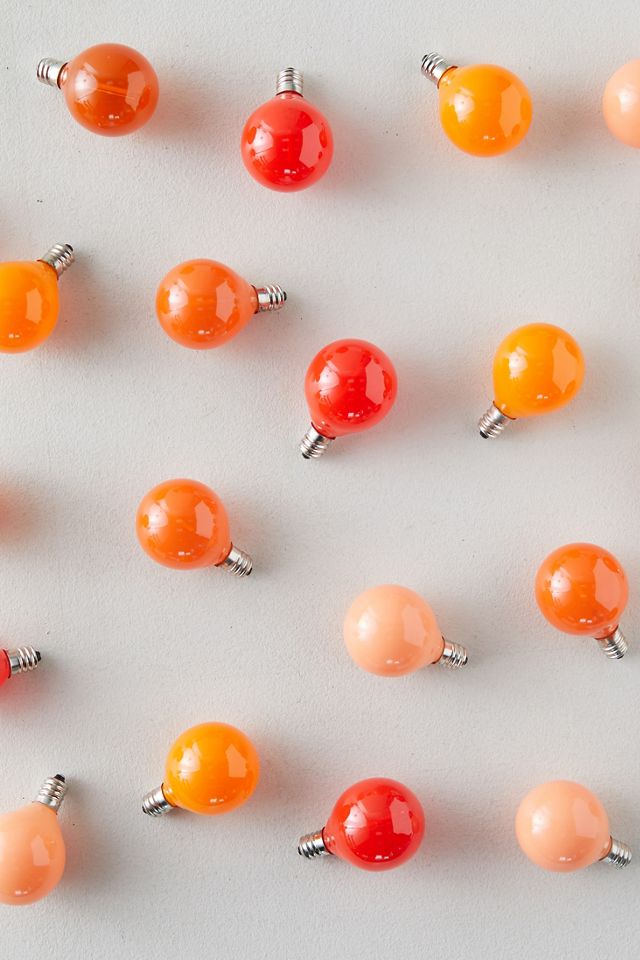 Stargazer Garden Lights Set of 21 Bulbs, Pumpkin Spice | Terrain