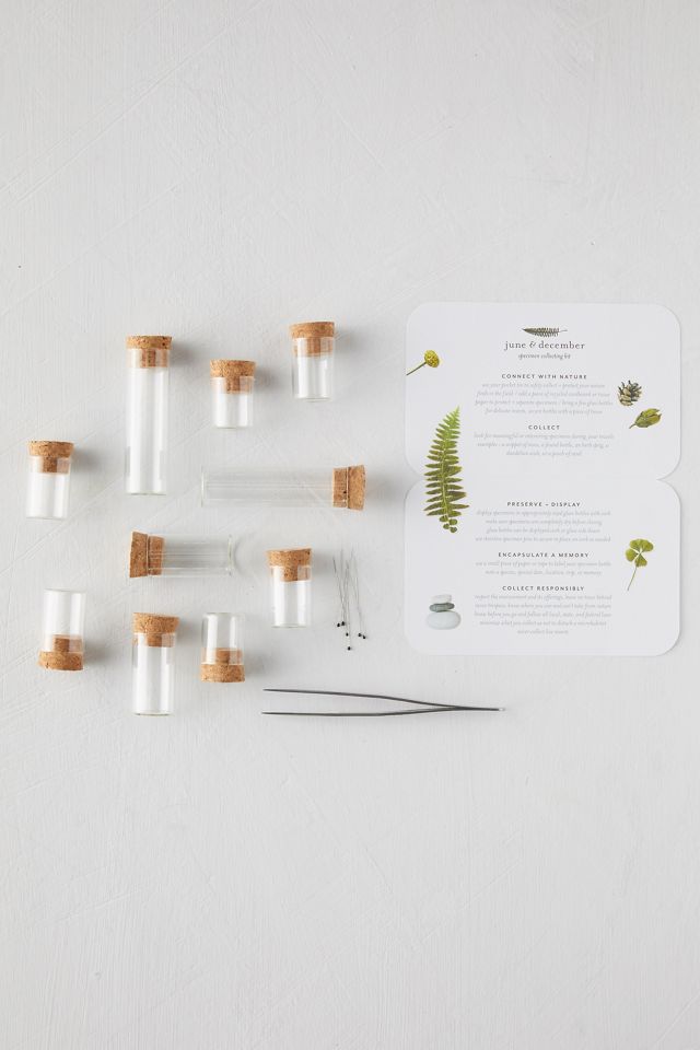 Specimen Kit | Terrain