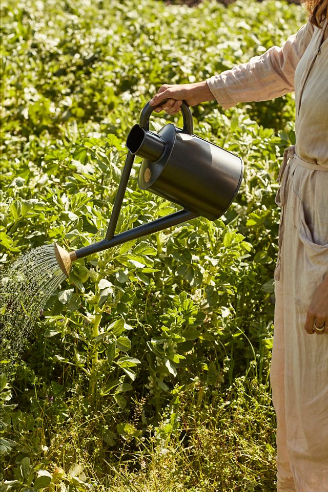 Haws Traditional Watering Can | AnthroLiving