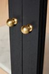 Fern Storage Cabinet | Anthropologie