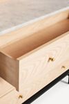 Fern Storage Cabinet | Anthropologie