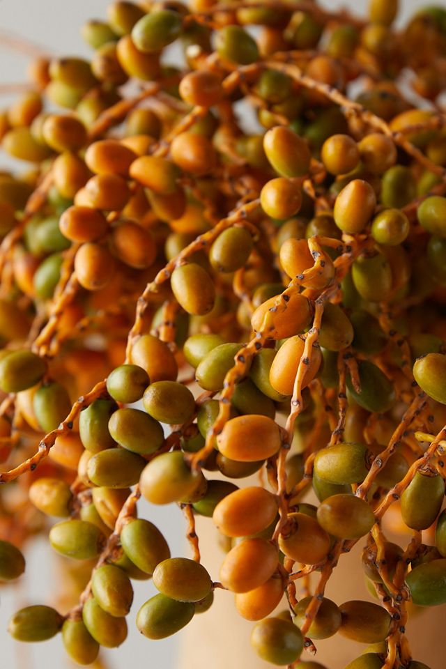 Fresh Date Berry Branch Bunch | AnthroHome