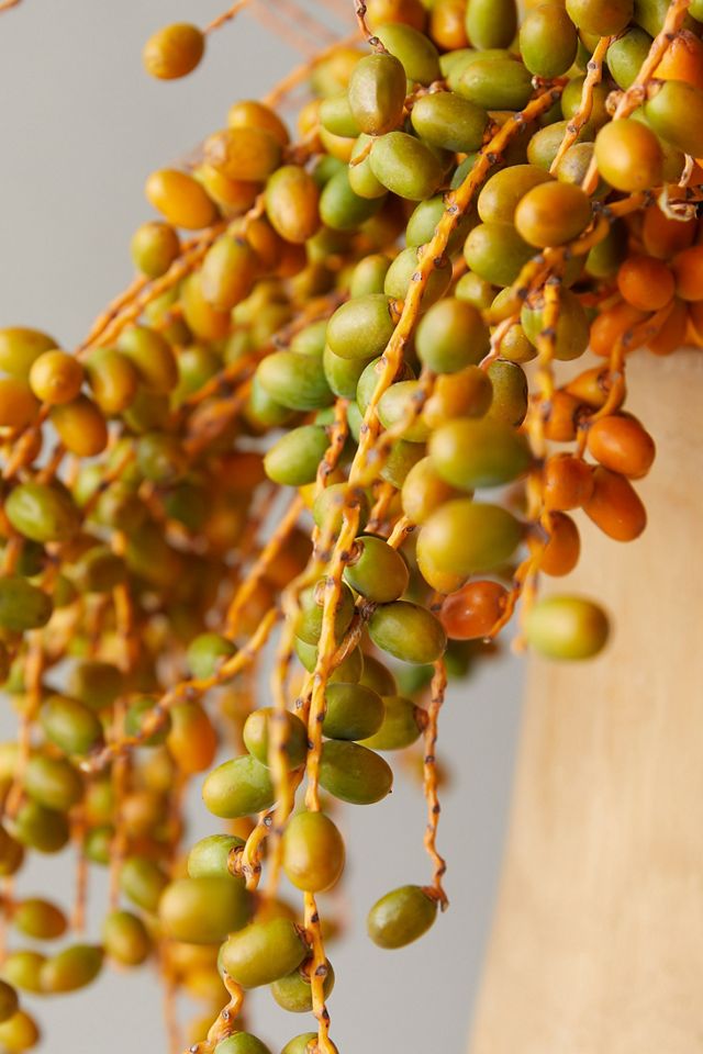 Fresh Date Berry Branch Bunch | Terrain